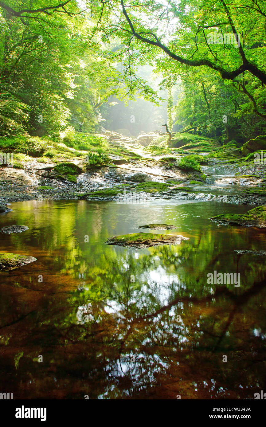 Fresh green Kikuchi Gorge, Kumamoto Prefecture, Japan Stock Photo - Alamy