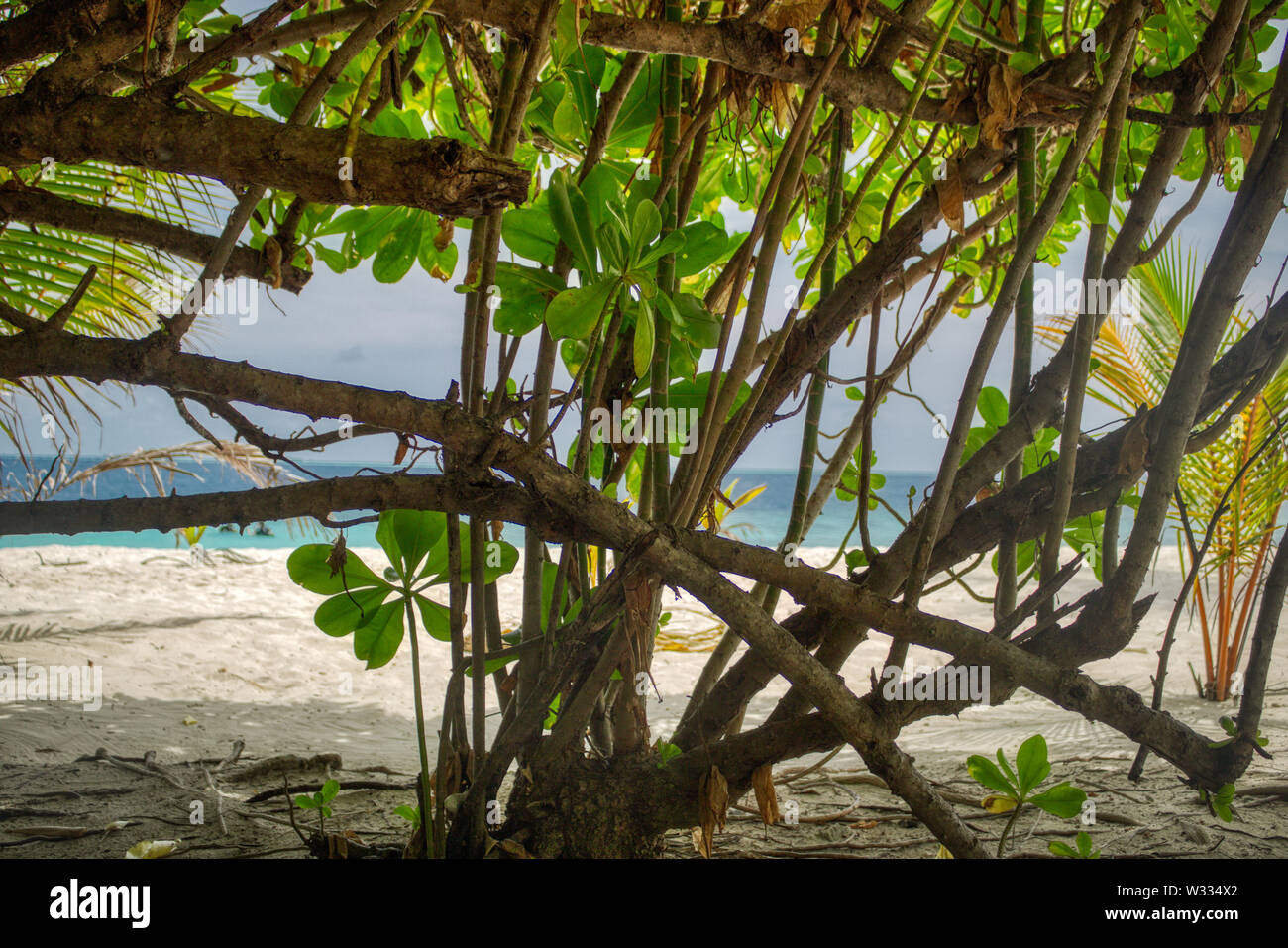 This unique photo shows the natural island texture with breathtaking ...