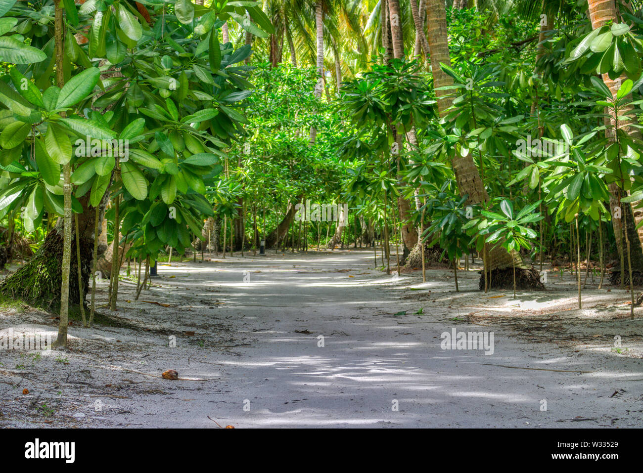 This unique photo shows the natural island texture with breathtaking ...