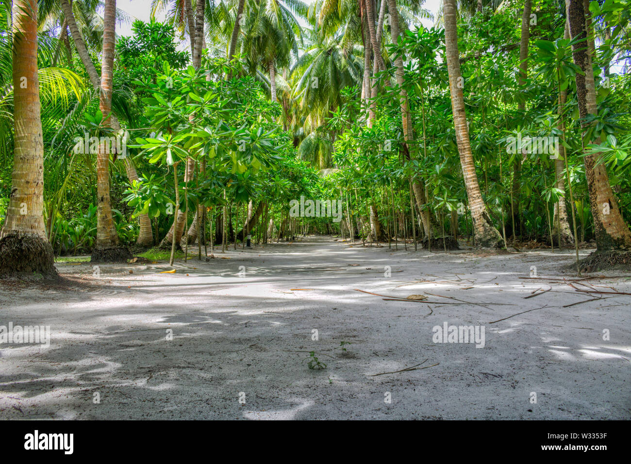 This unique photo shows the natural island texture with breathtaking ...