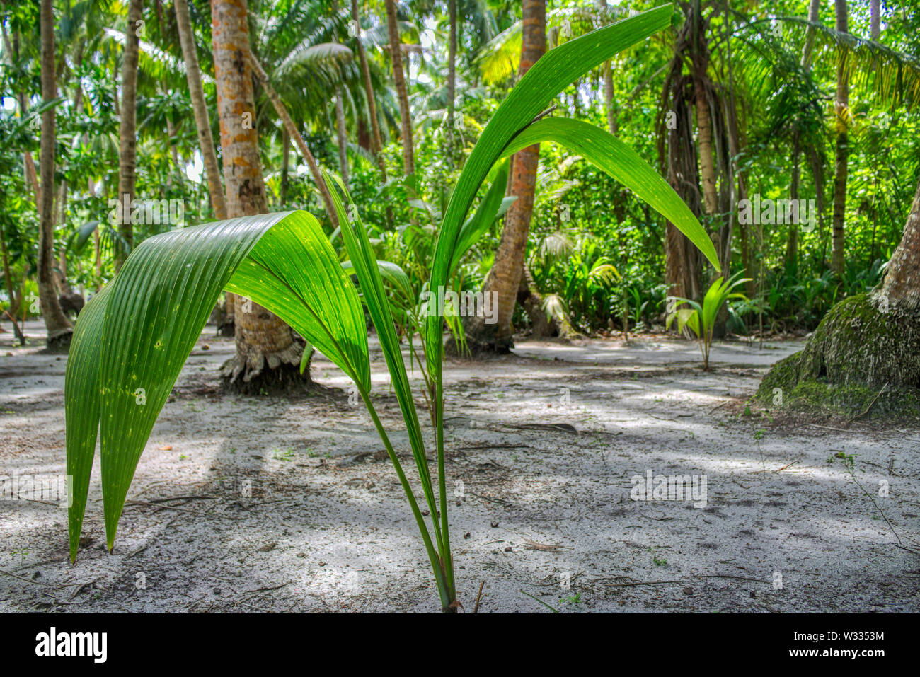 This unique photo shows the natural island texture with breathtaking ...