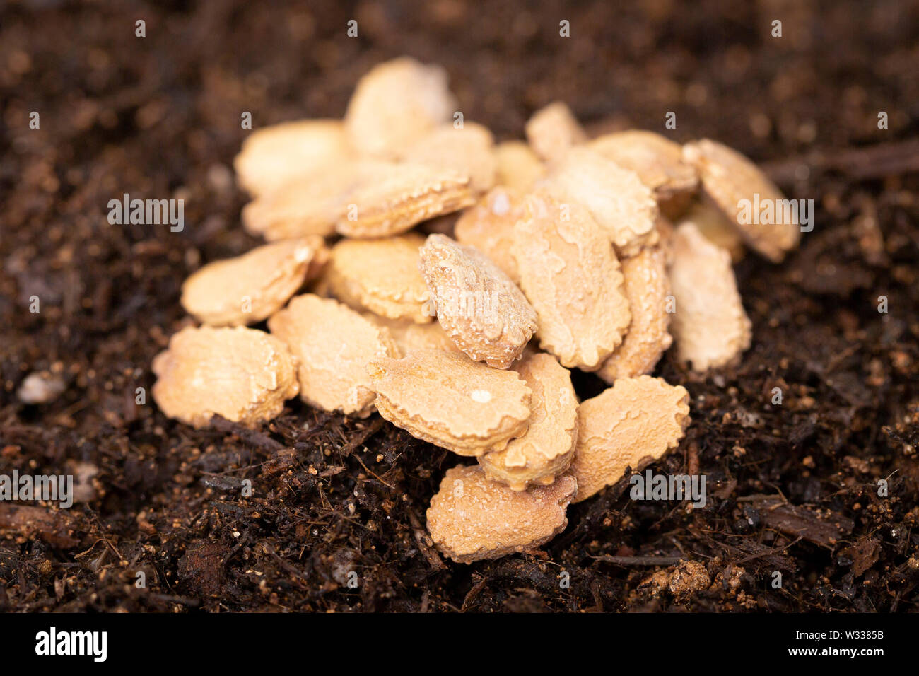 collection of healthy superfood, close up of various seeds 168 Stock ...