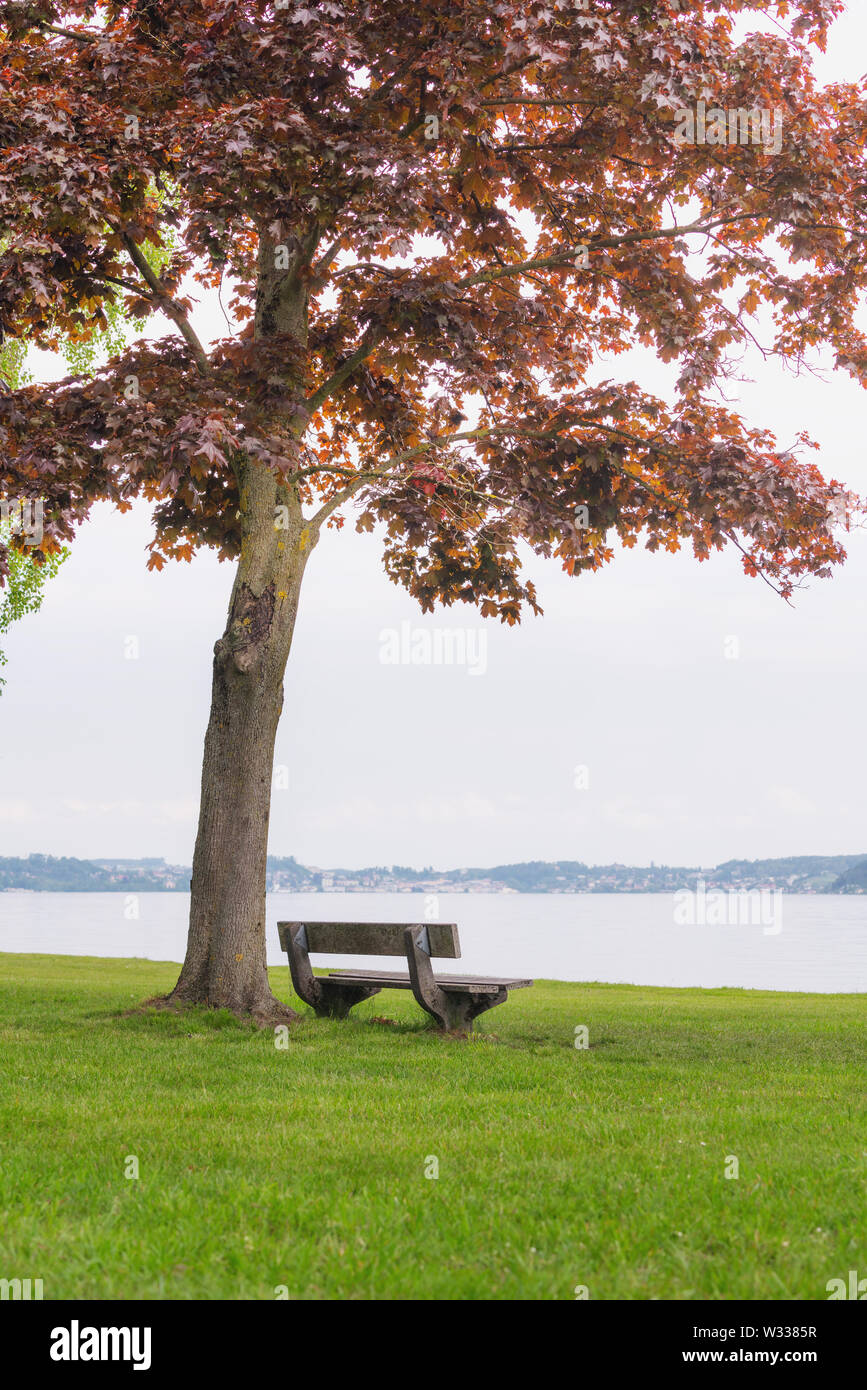 Green Lake Austria Bench High Resolution Stock Photography and Images ...