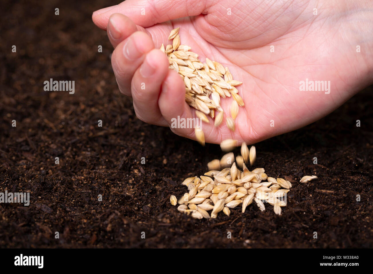collection of healthy superfood, close up of various seeds 129 Stock ...