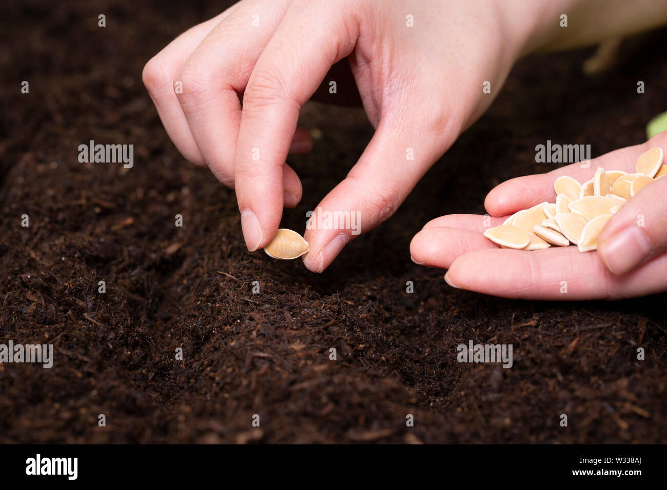 collection of healthy superfood, close up of various seeds 122 Stock ...