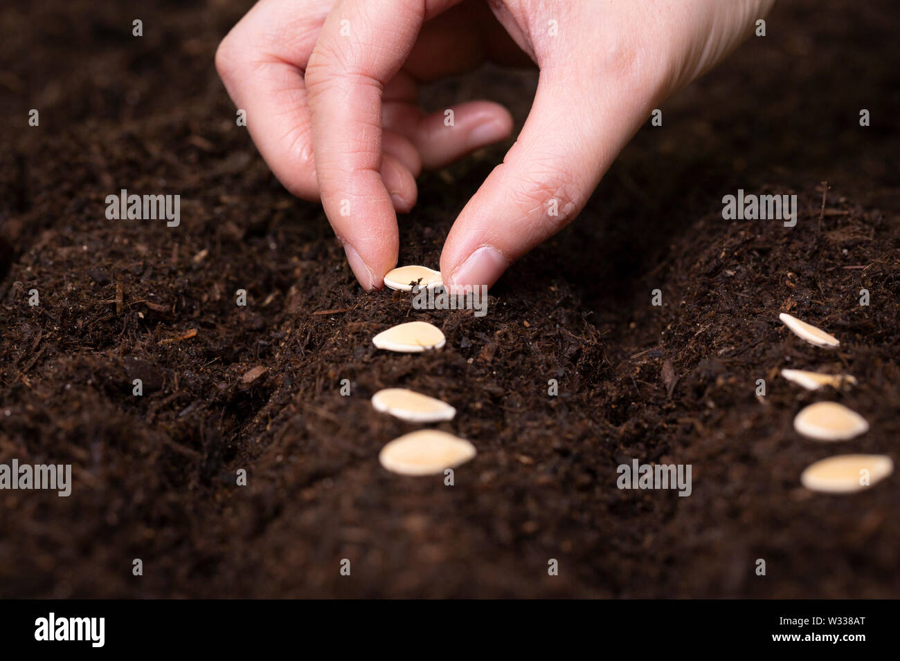 collection of healthy superfood, close up of various seeds 123 Stock ...
