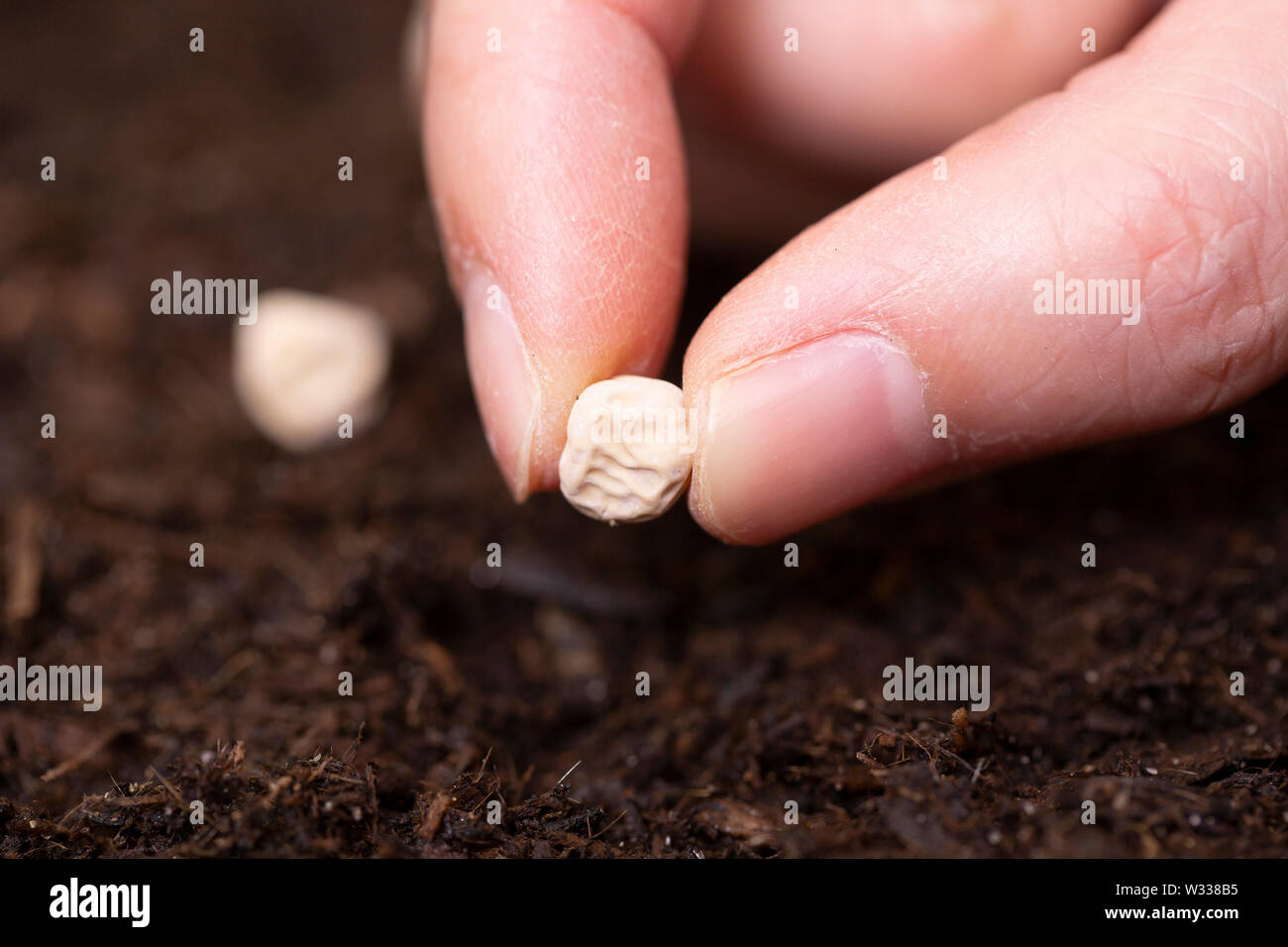 collection of healthy superfood, close up of various seeds 125 Stock ...