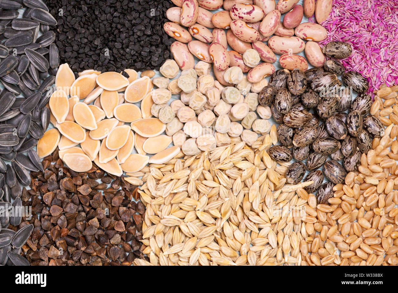 collection of healthy superfood, close up of various seeds 111 Stock ...
