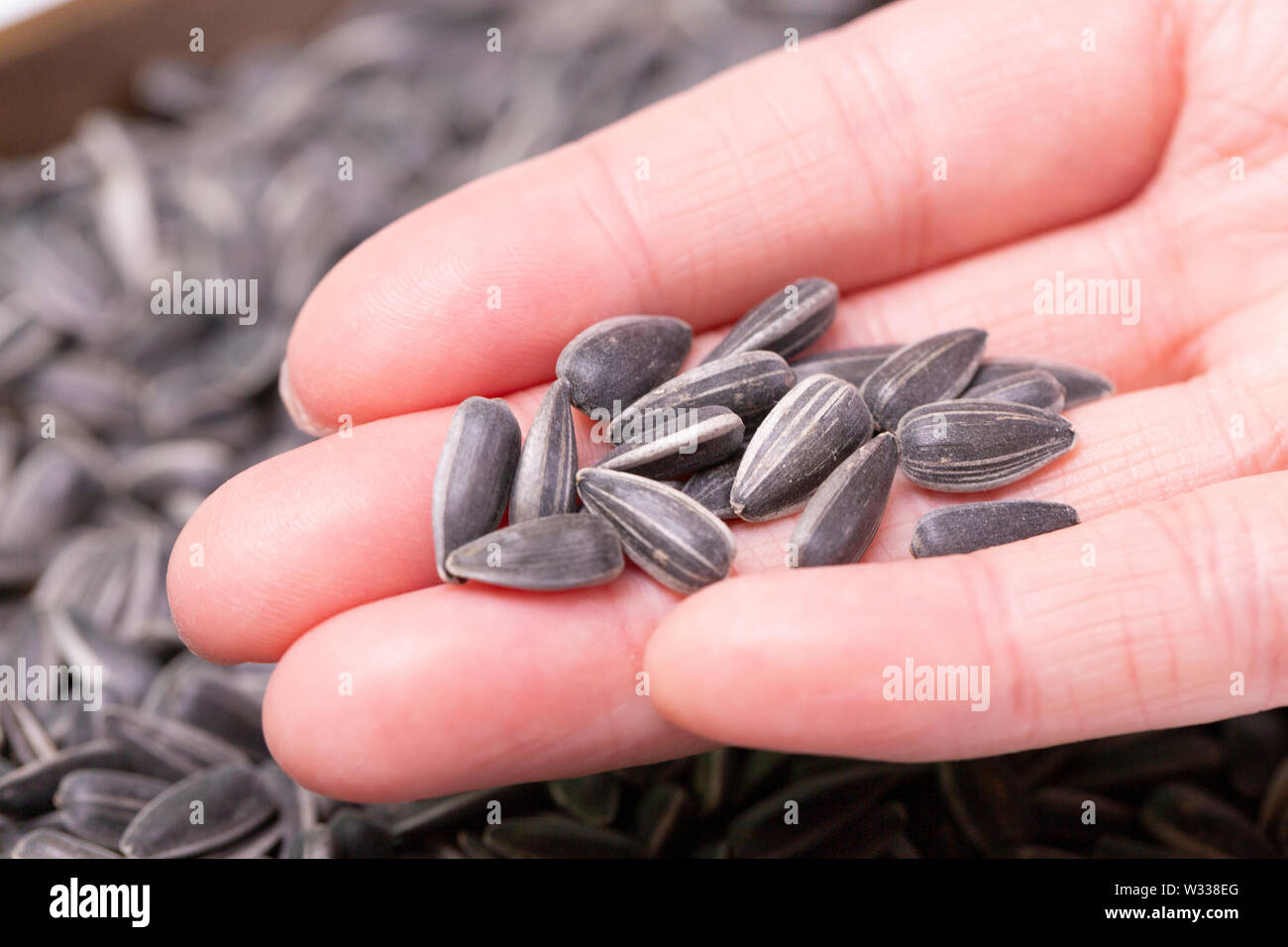 collection of healthy superfood, close up of various seeds 086 Stock ...