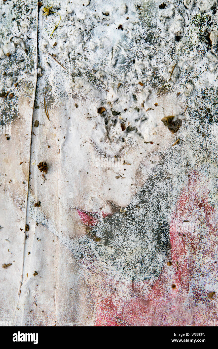 Decaying beauty hi-res stock photography and images - Alamy