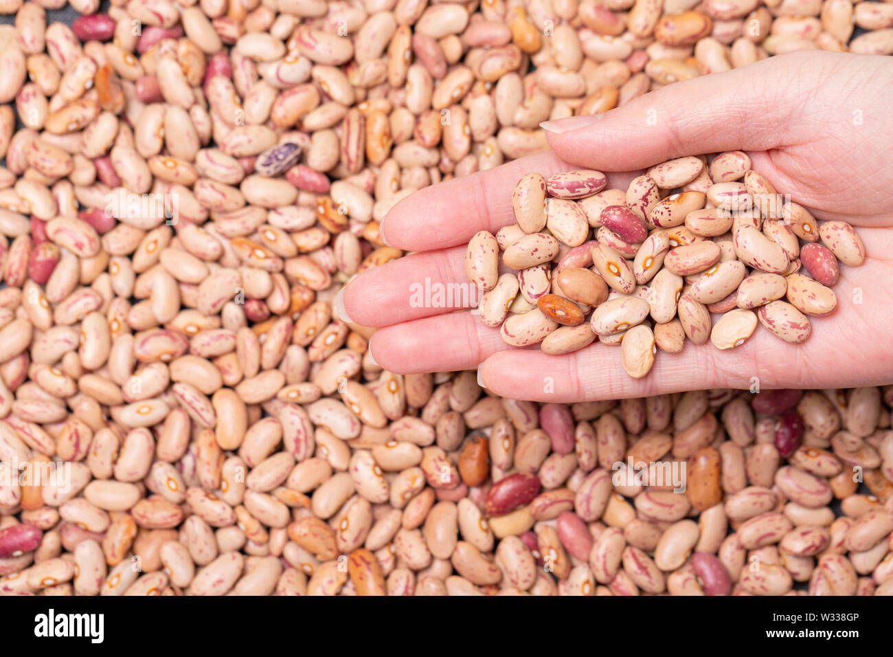 collection of healthy superfood, close up of various seeds 074 Stock ...