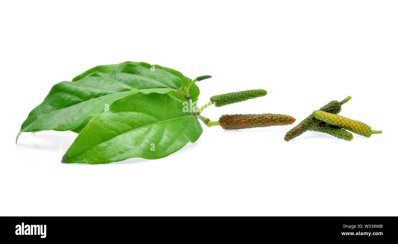 Long pepper isolated on white background Stock Photo - Alamy
