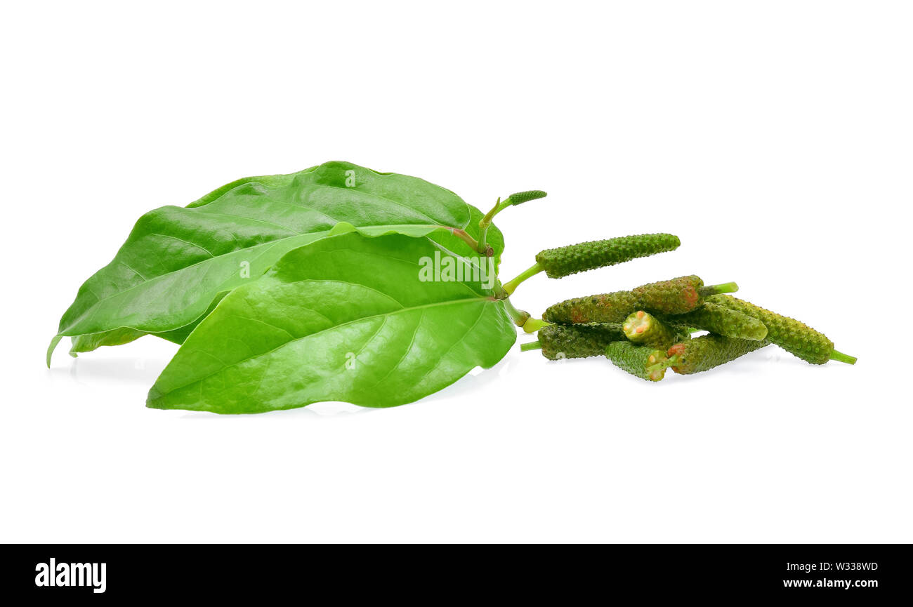 Long pepper isolated on white background Stock Photo - Alamy