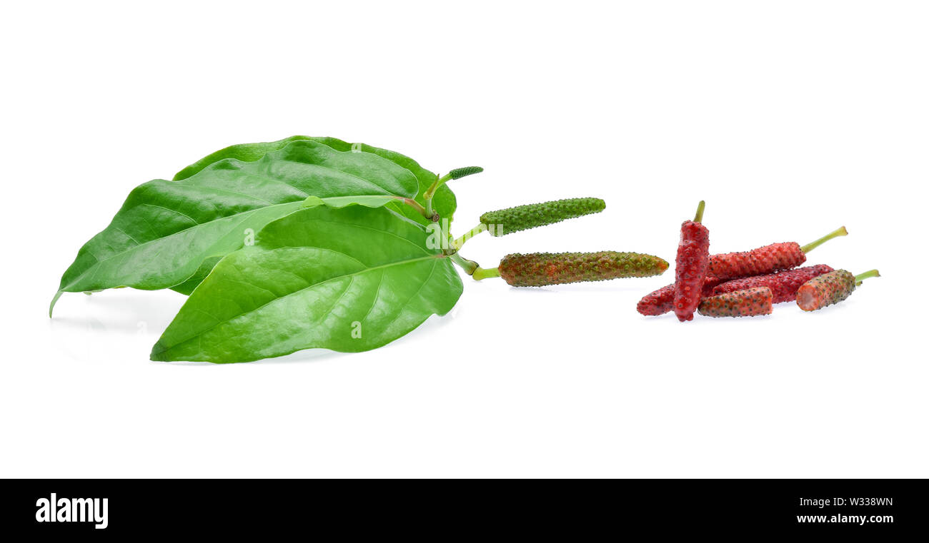 Long pepper isolated on white background Stock Photo - Alamy