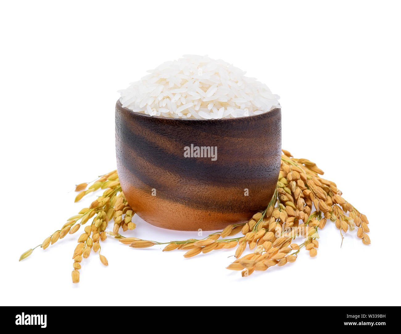 rice plants, grains of Thai jasmine rice in wood bowl on white ...