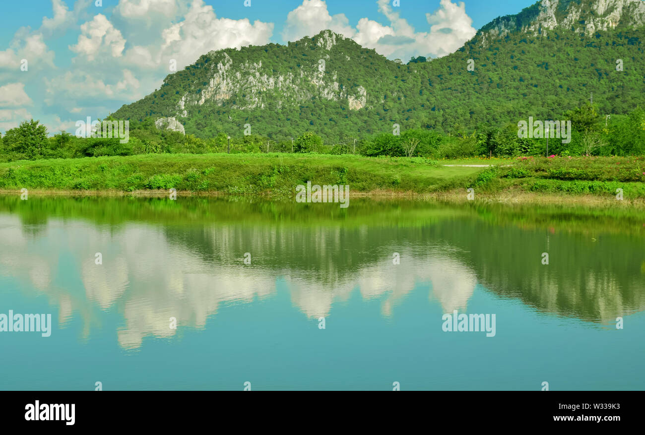 Clouds reflected in swan hi-res stock photography and images - Alamy
