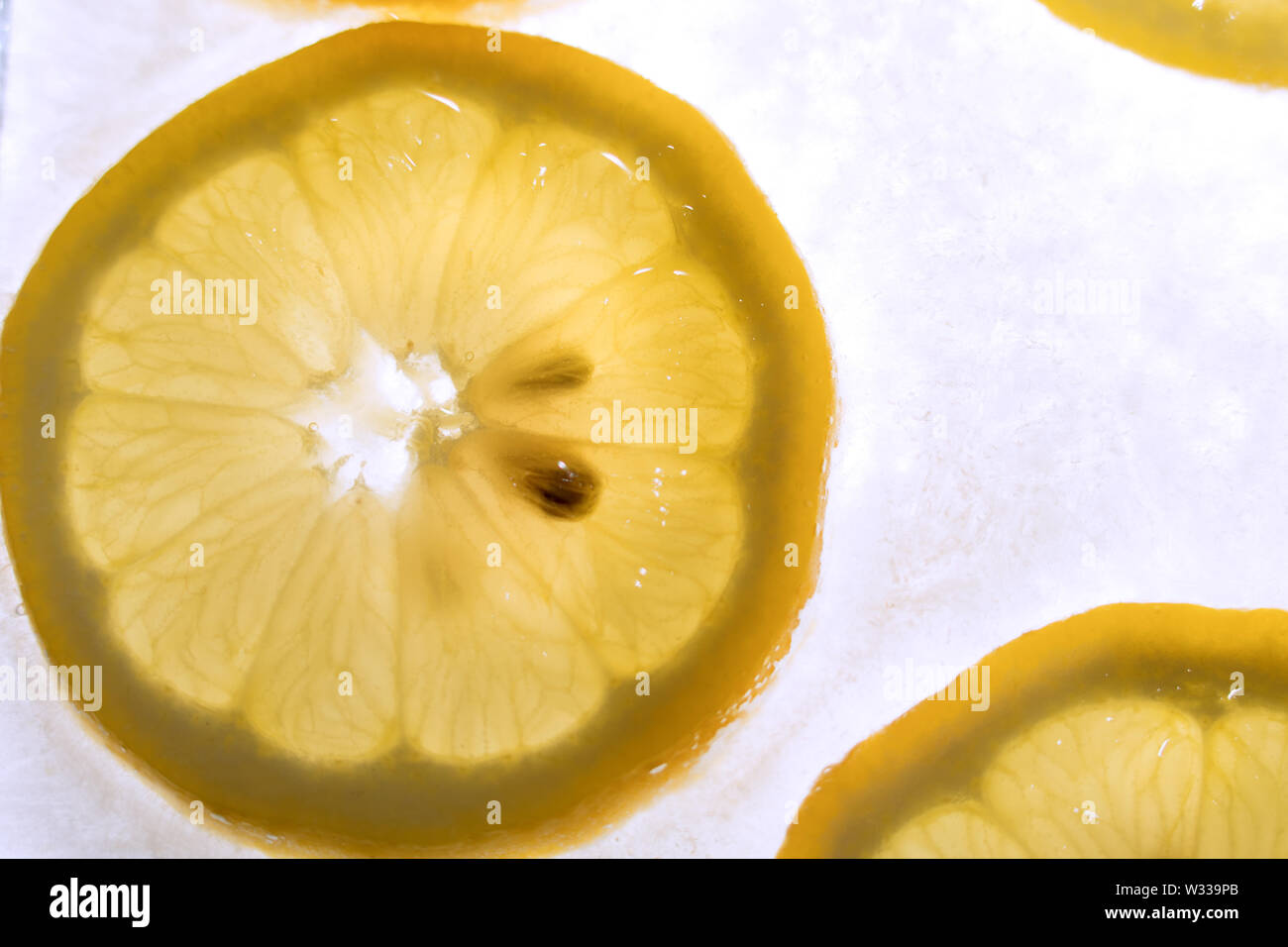 Lemon Slices with pieces of pips frozen embedded in ice Stock Photo - Alamy