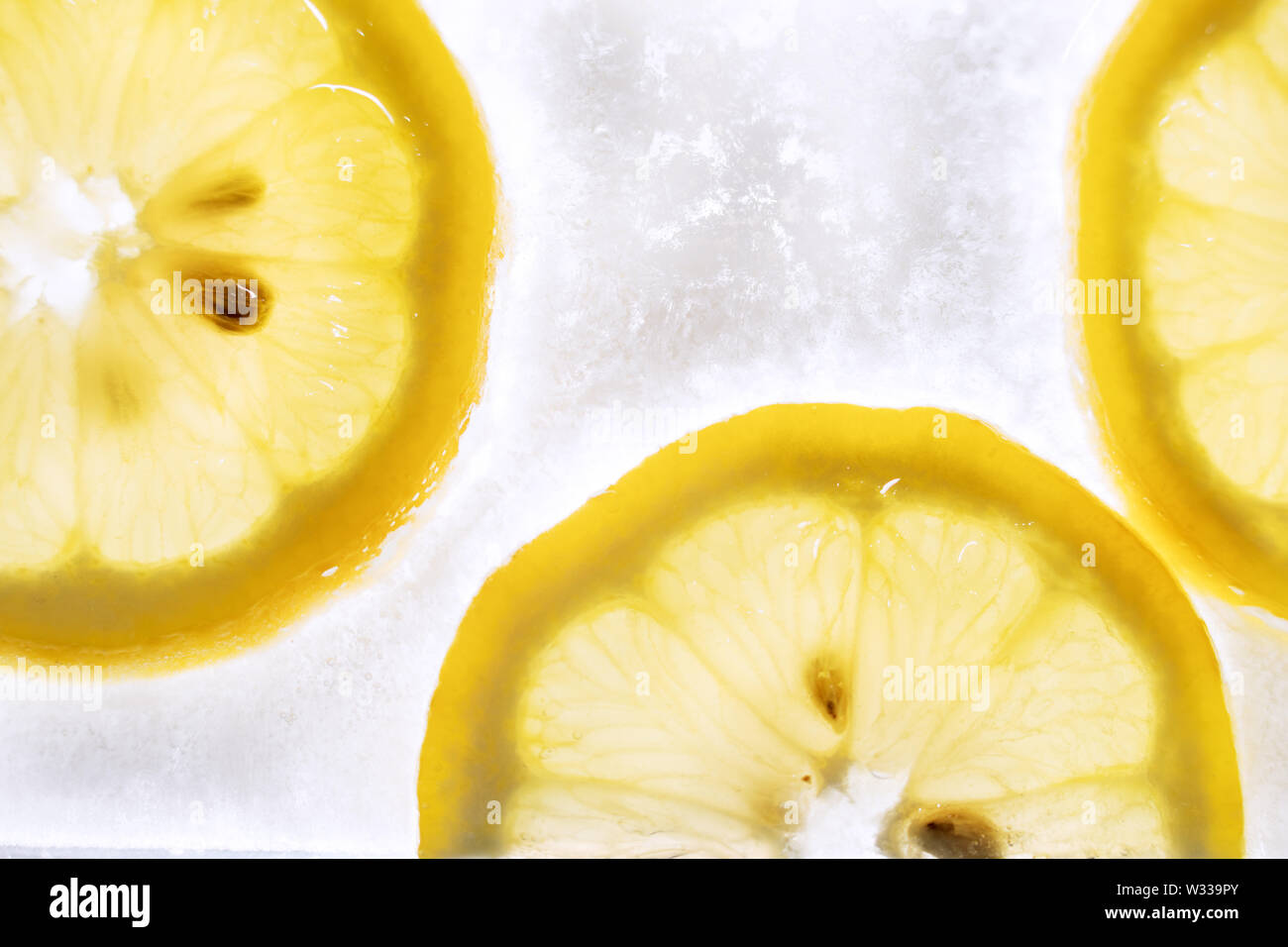 Lemon Slices with pieces of pips frozen embedded in ice Stock Photo - Alamy