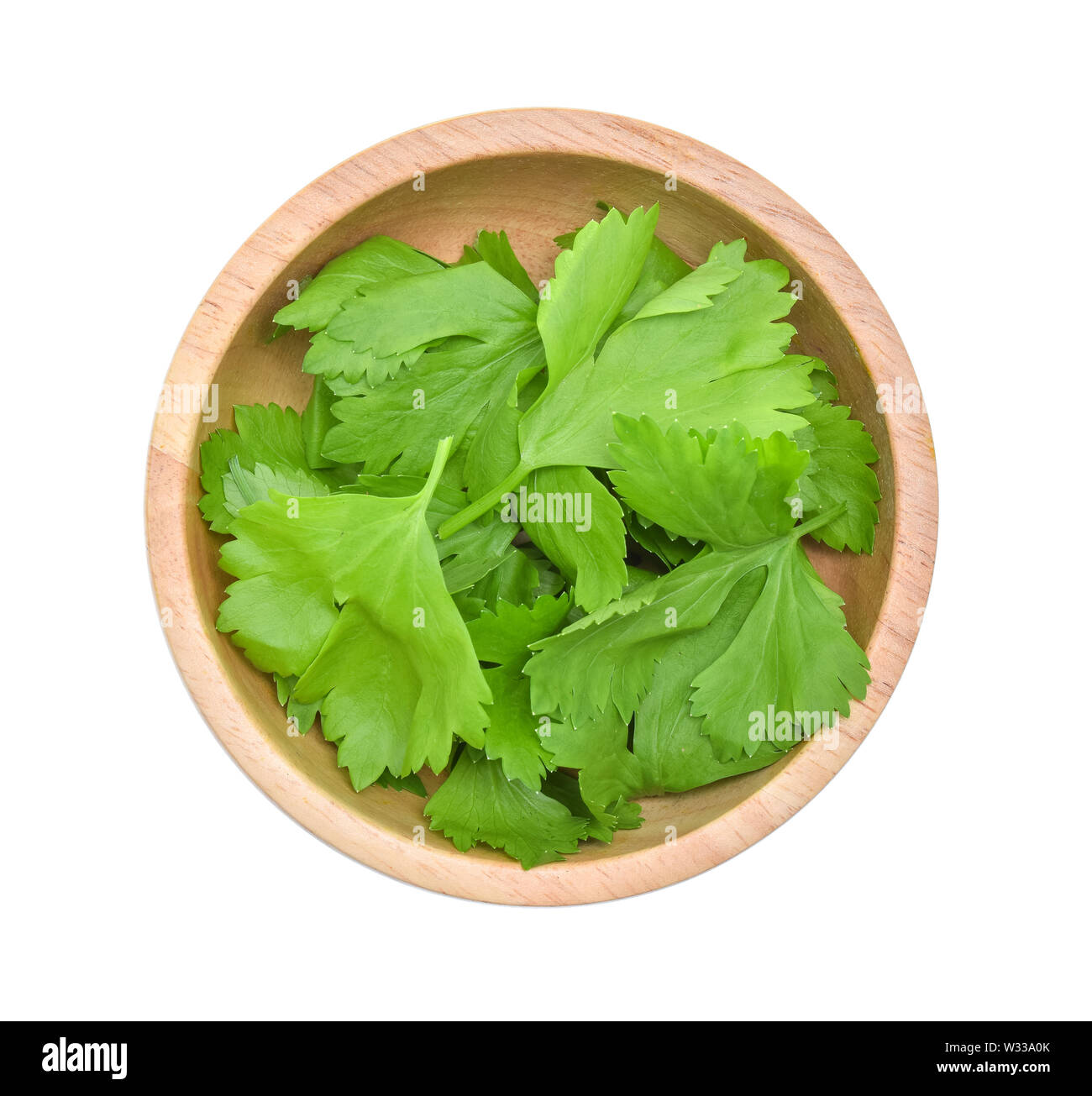 fresh parsley bunch isolated on white background Stock Photo - Alamy
