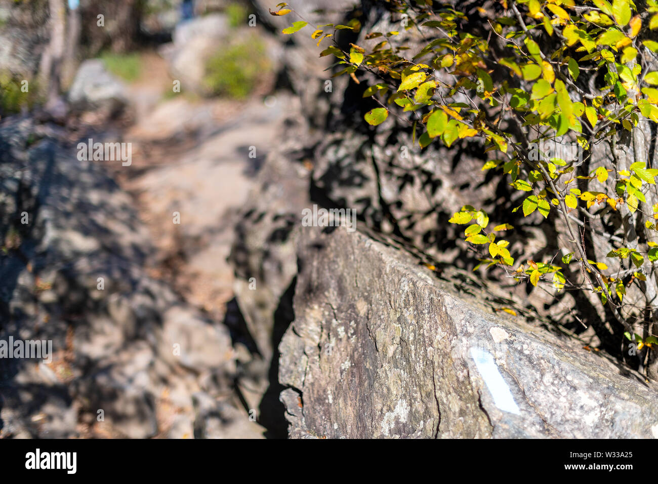 Trail blue paint marking or mark on rock on Billy goat trail hike in ...