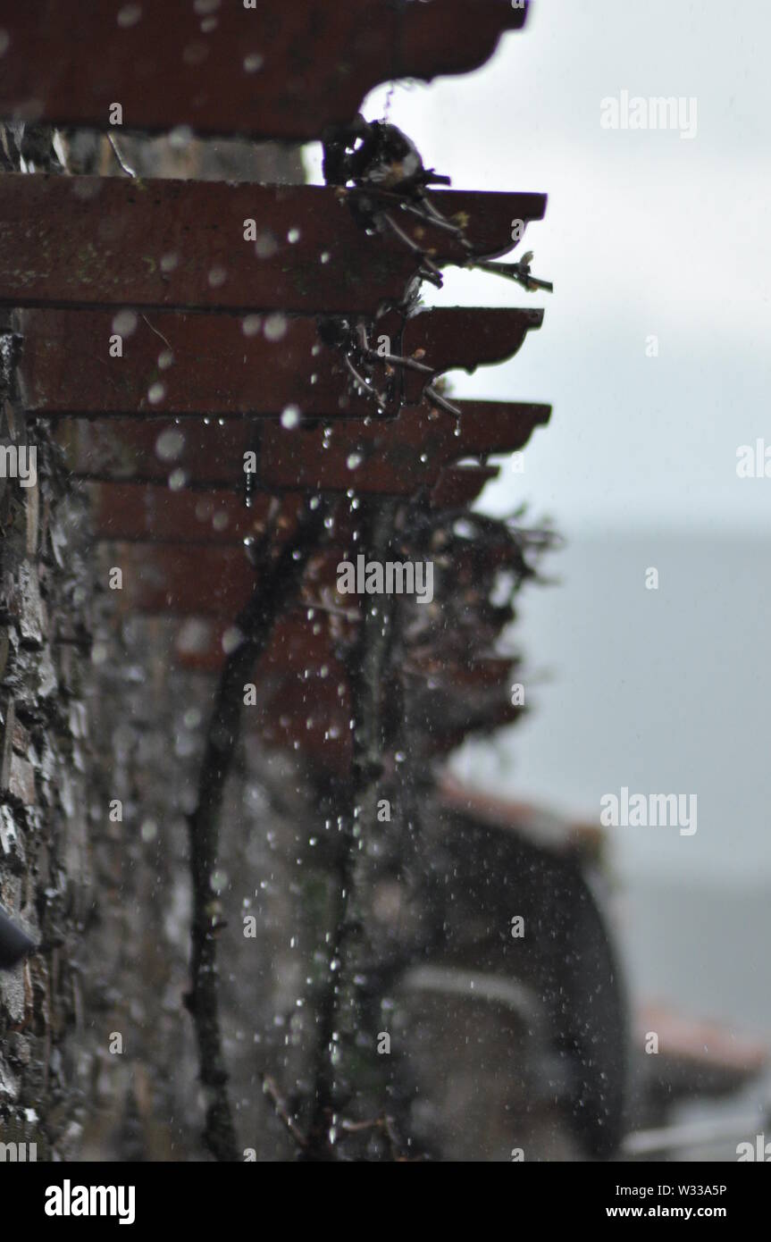 The building in the rain Stock Photo - Alamy