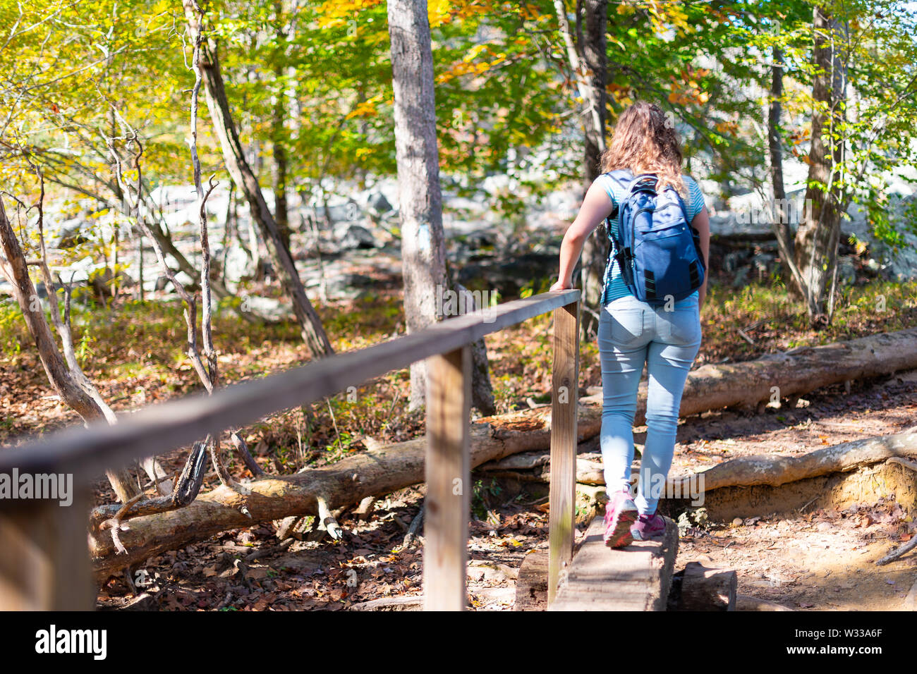 Great Falls in Maryland colorful autumn foliage on Billy Goat Trail ...