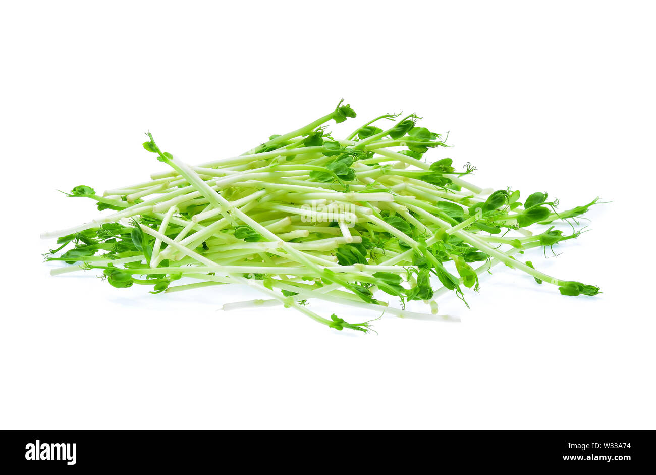 Snow pea sprouts on white background Stock Photo - Alamy