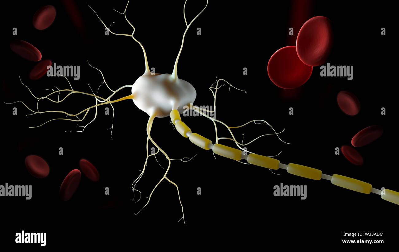 3d Illustration of Neuron anatomy, infographic isolated black Stock ...