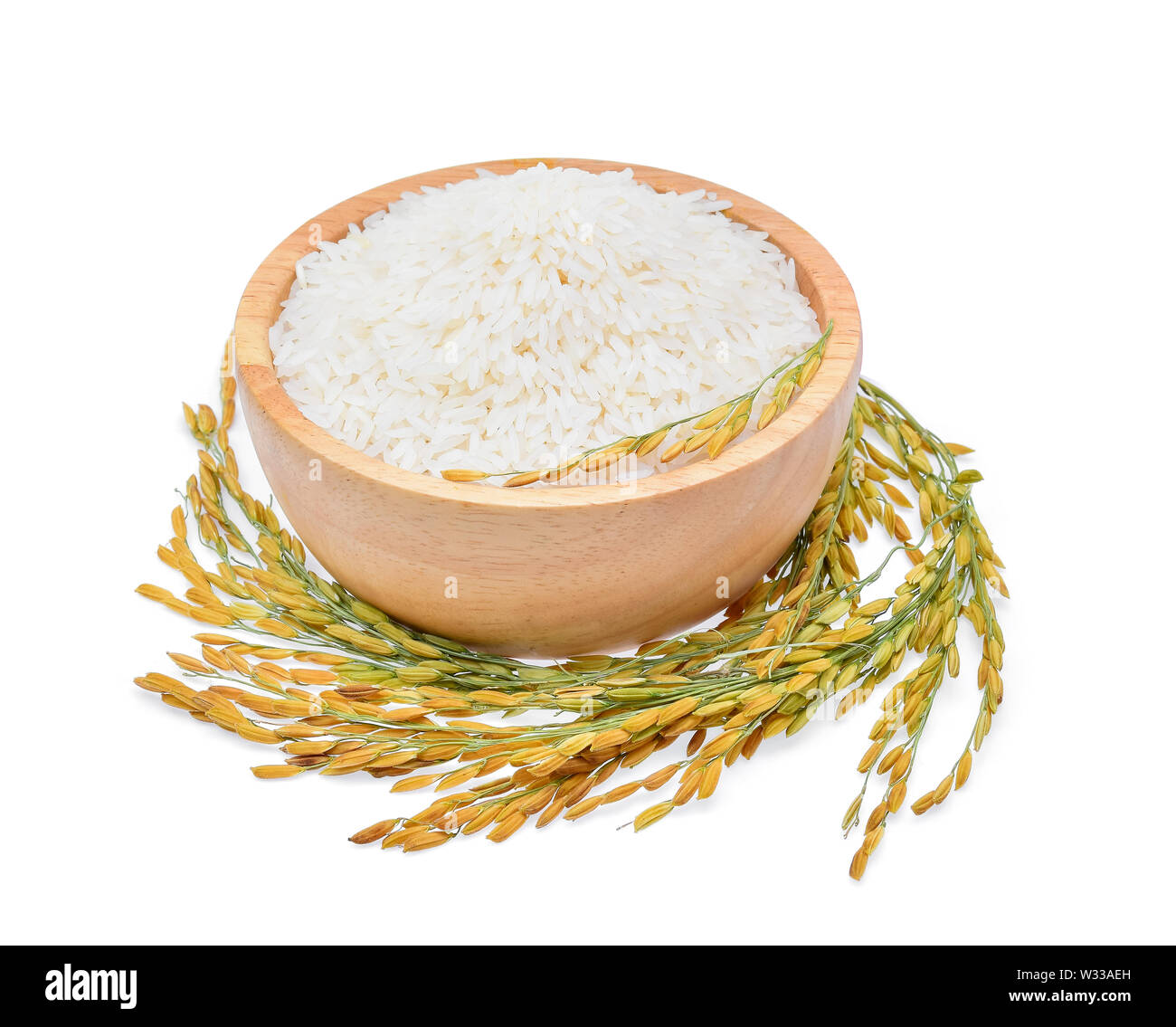 rice plants, grains of Thai jasmine rice in wood bowl on white ...
