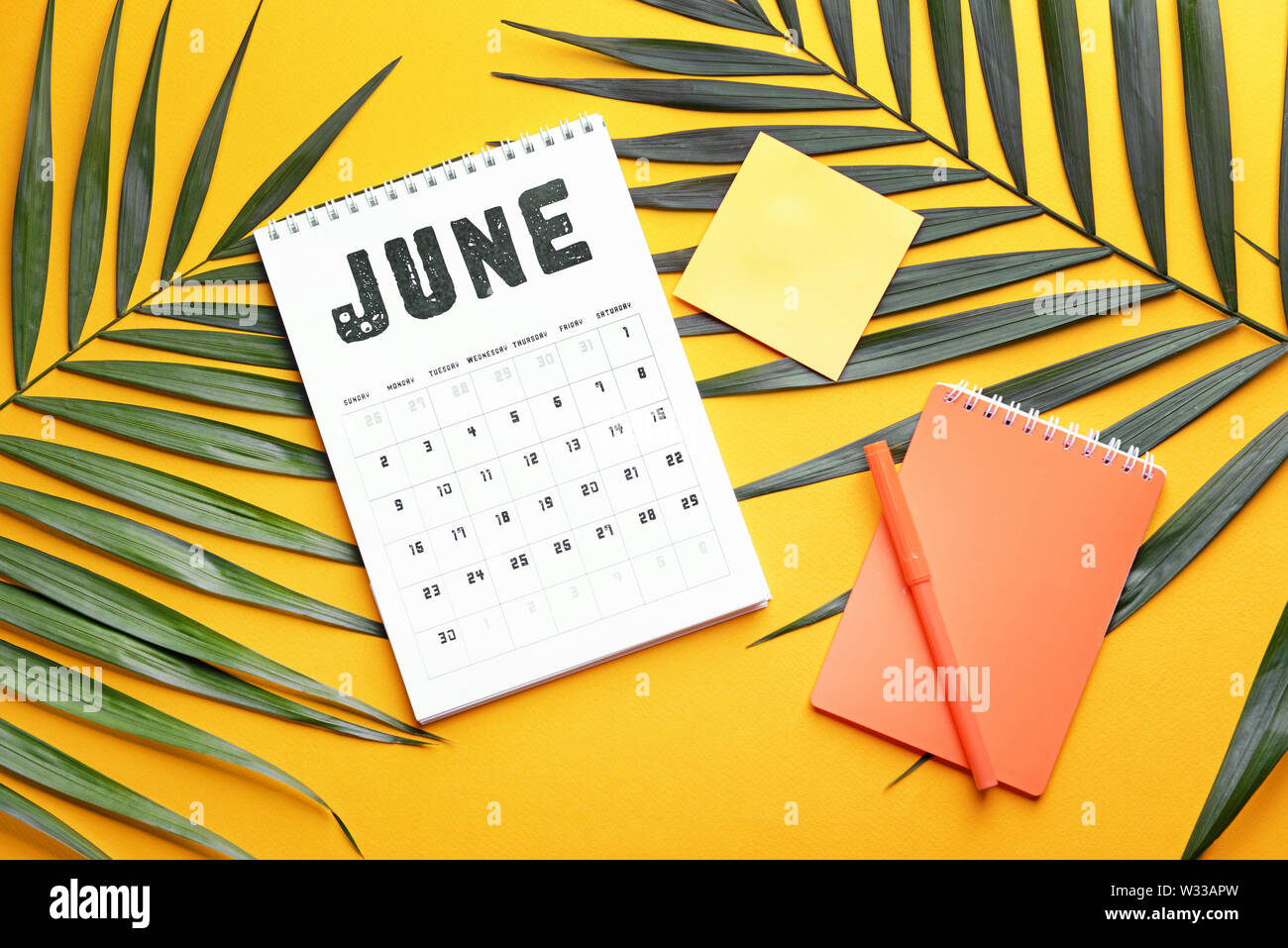 Flip paper calendar, notebook and tropical leaves on color background ...