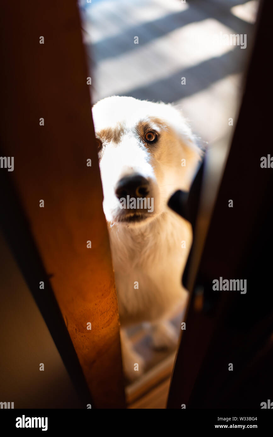 Peeking through door hi-res stock photography and images - Alamy