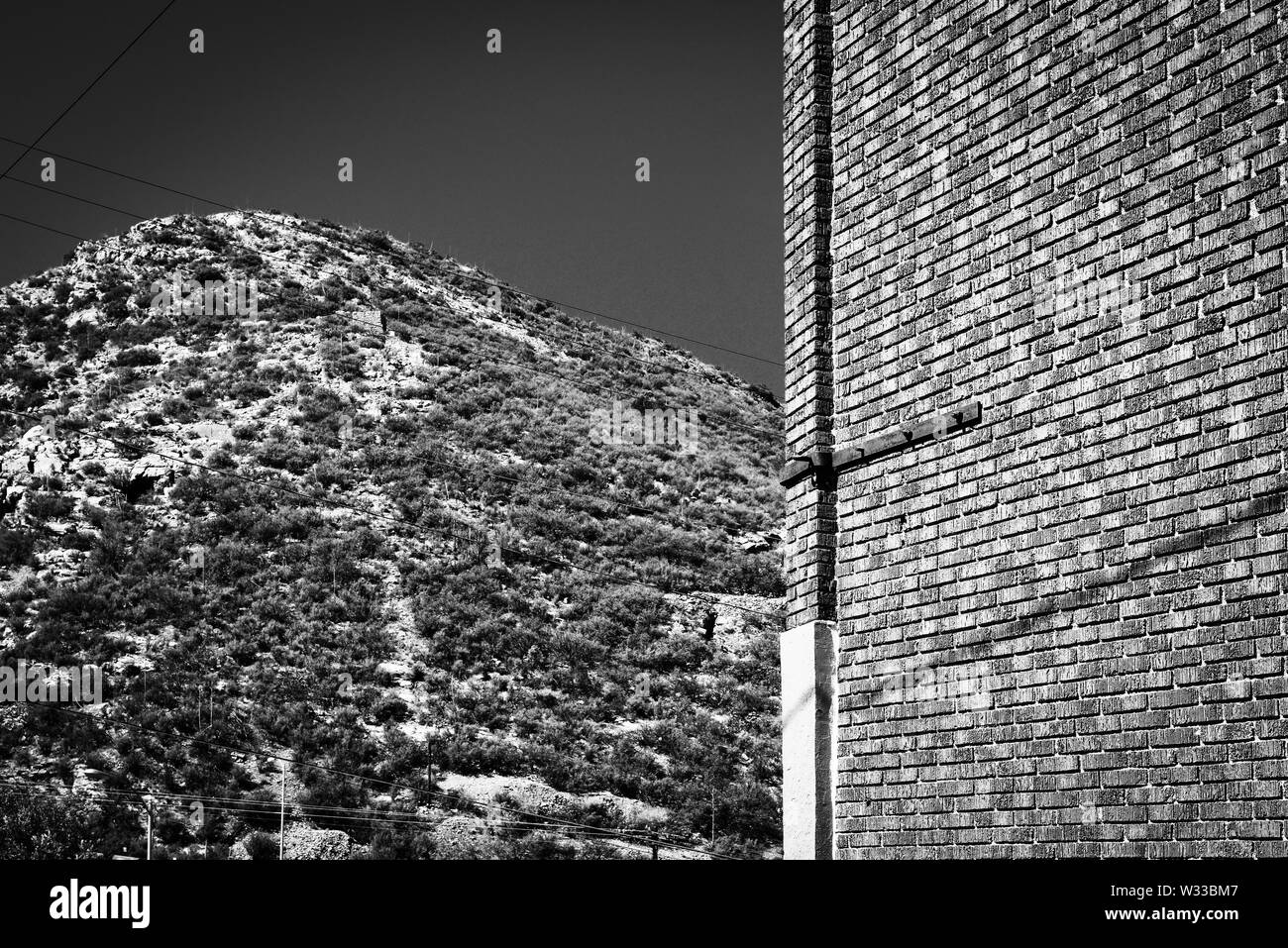 The juxtaposition of two opposing textural elements in a view of the ...