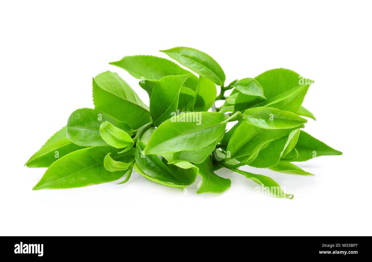 green tea leaf isolated on white Stock Photo - Alamy