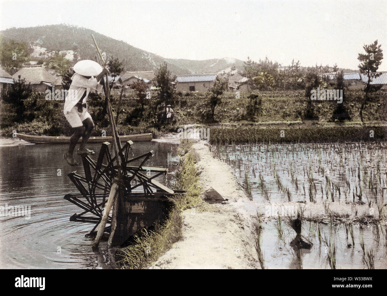 [ 1900s Japan - Japanese Farmer Irrigating a Rice Field ] — Rice ...