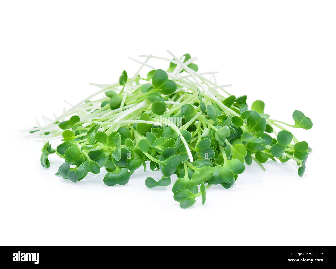 Heap sunflower sprouts micro hi-res stock photography and images - Alamy