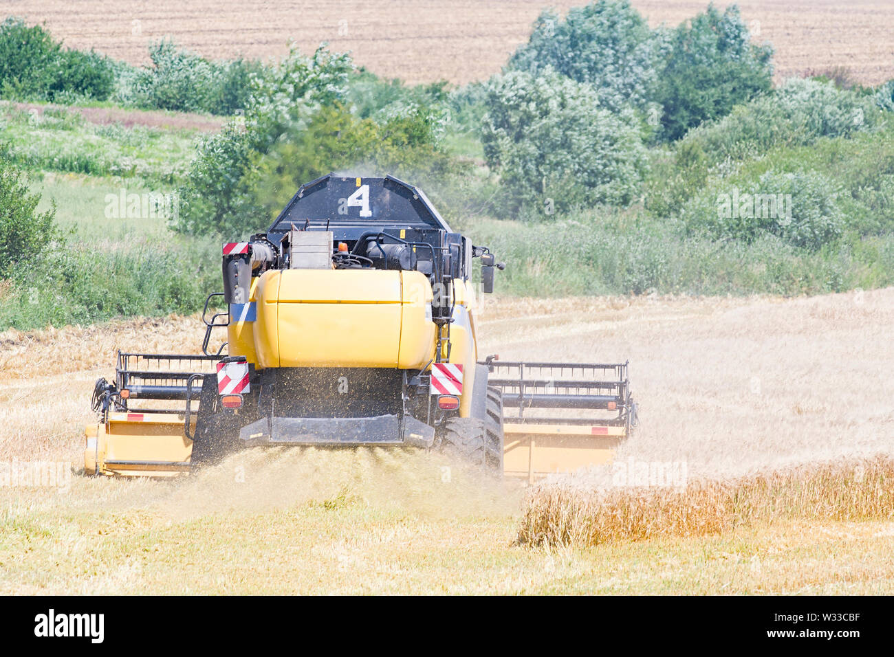 Harvester machine to harvest wheat field working. Combine harvester ...