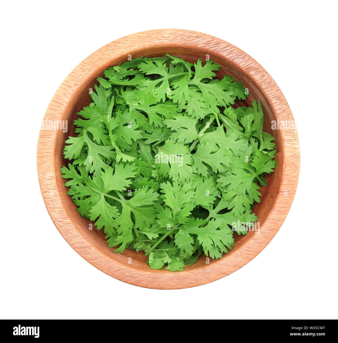 Top view of fresh coriander leaves in wooden bowl on white background ...