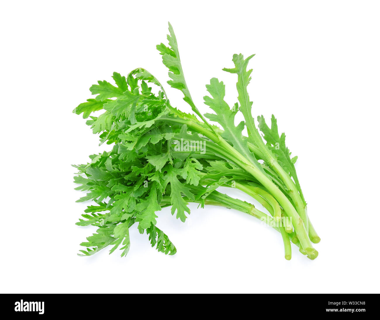 edible chrysanthemum leaf isolated on white Stock Photo - Alamy