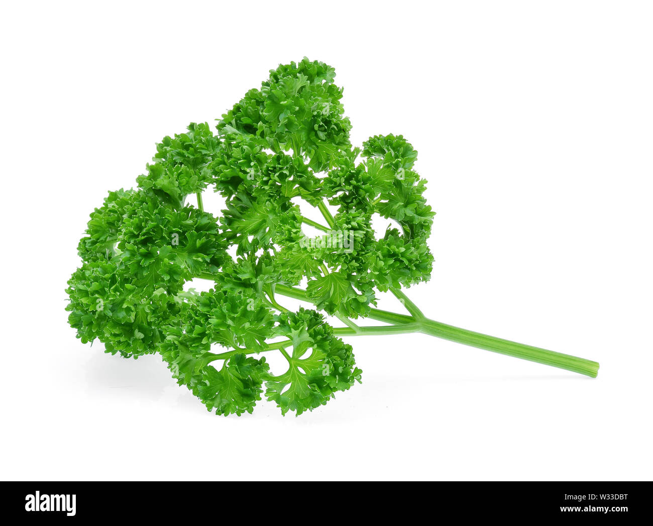 Curly parsley Cut Out Stock Images & Pictures - Alamy