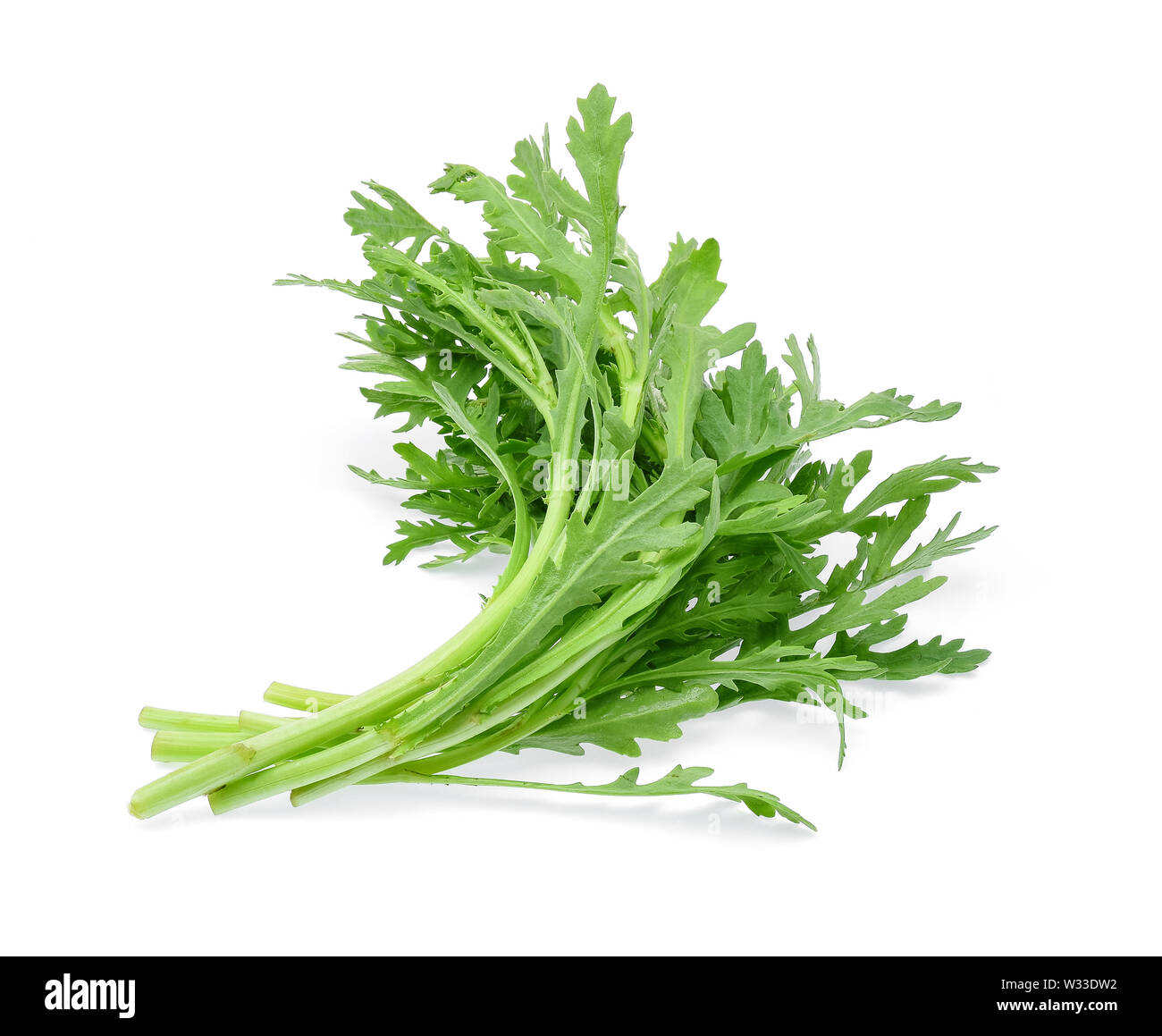 edible chrysanthemum leaf isolated on white Stock Photo - Alamy