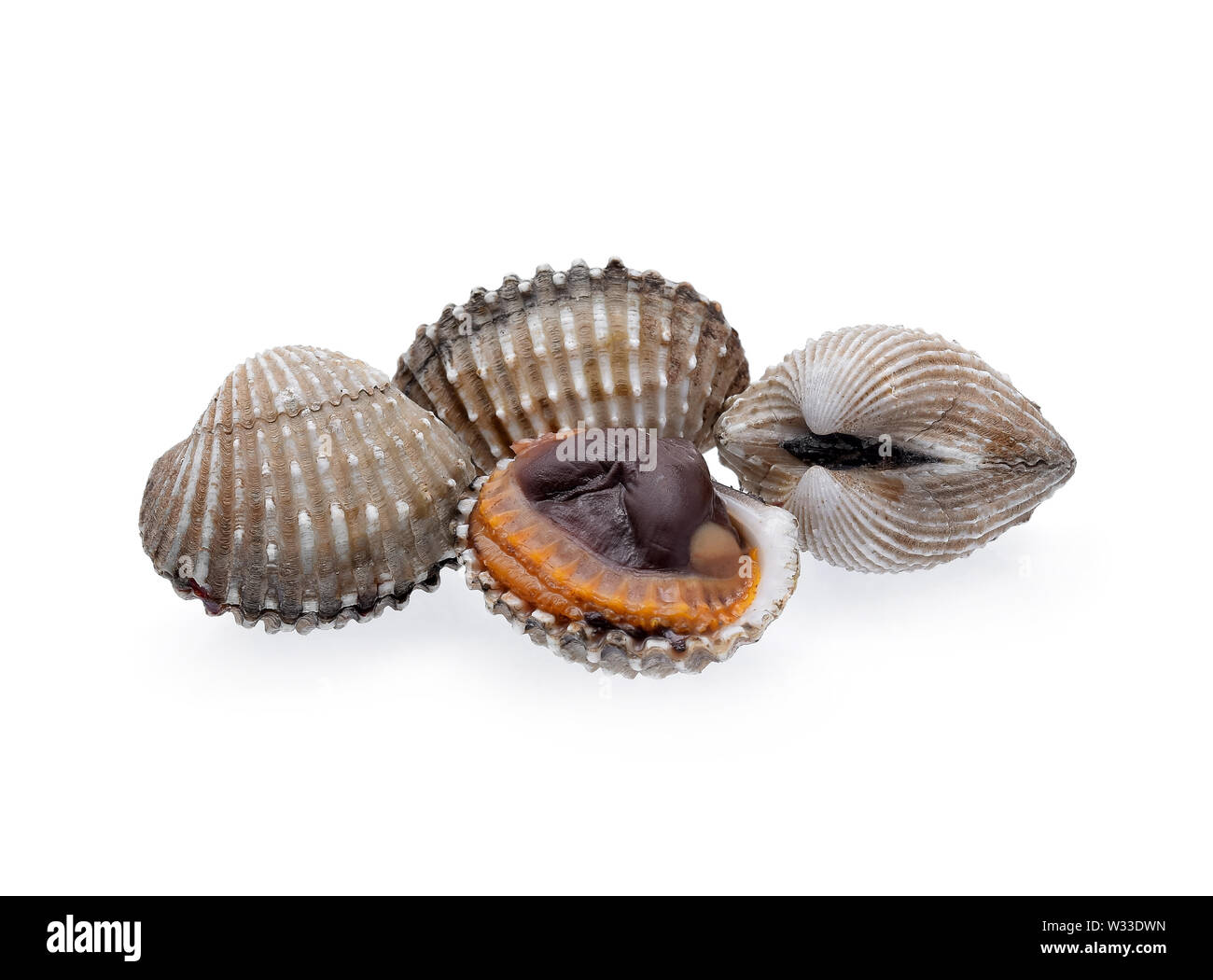 cockles seafood isolated on white background Stock Photo - Alamy