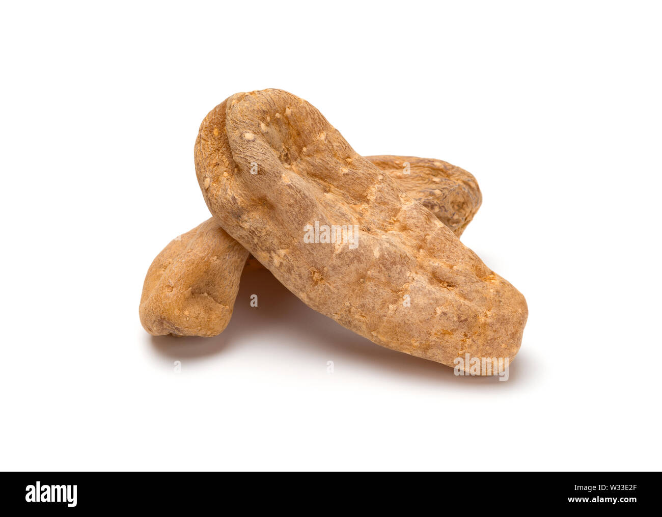 side view Chinese herb medicine of Tianma or Gastrodiae Rhizoma or Tall ...