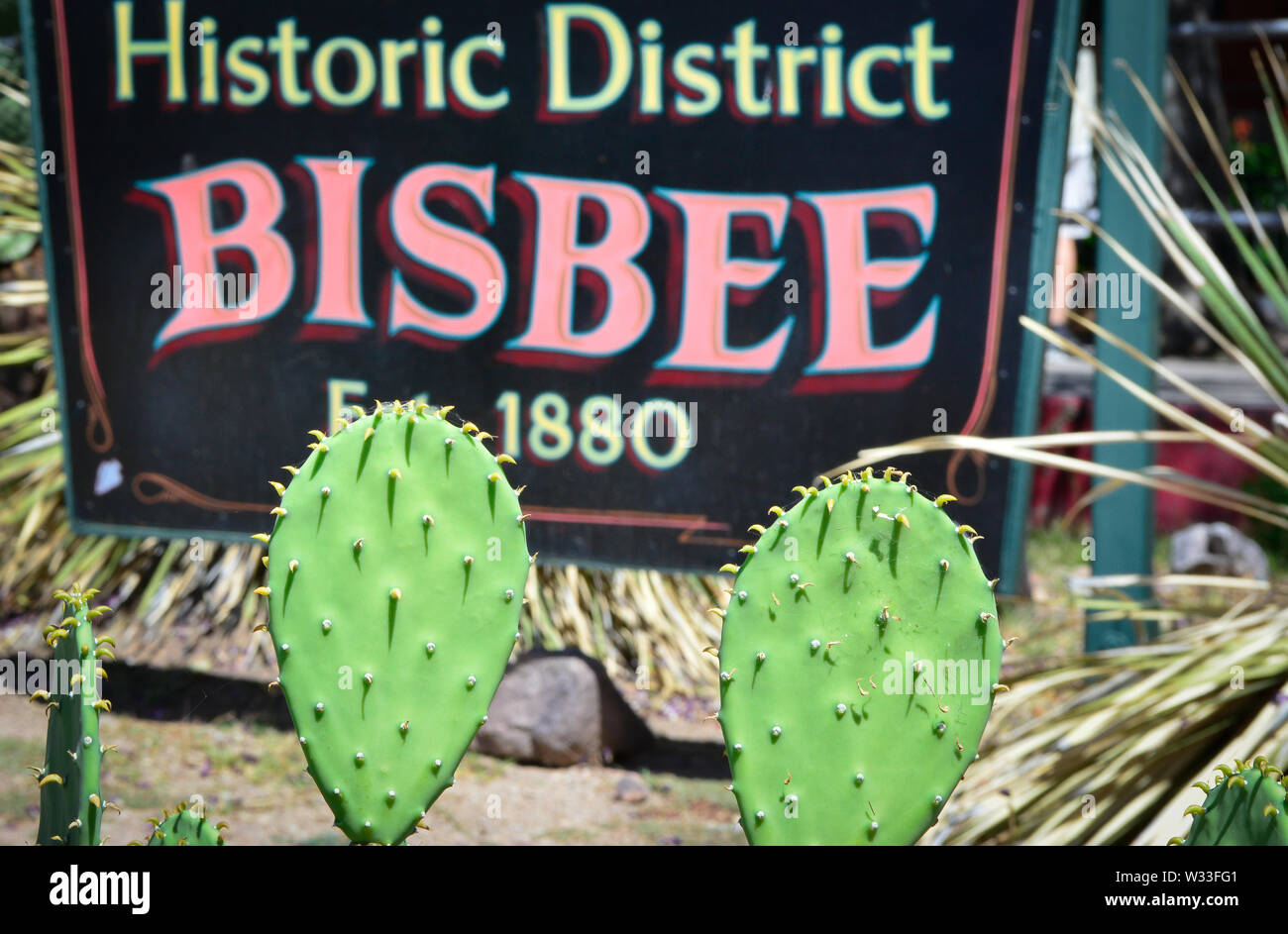 A front focus image of Prickly pear cacti pads with a soft focus ...