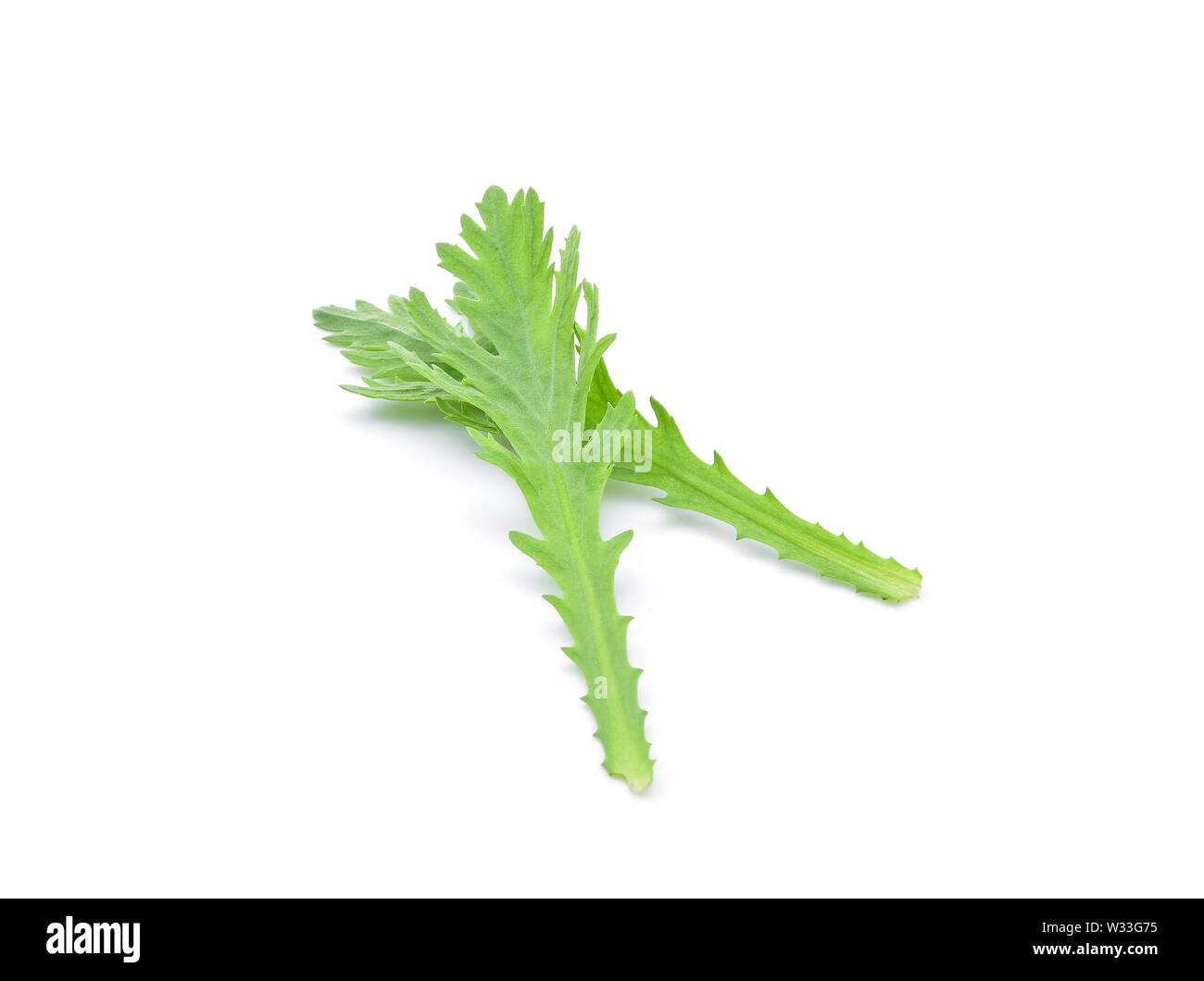Sweet rucola salad rocket Cut Out Stock Images & Pictures - Alamy