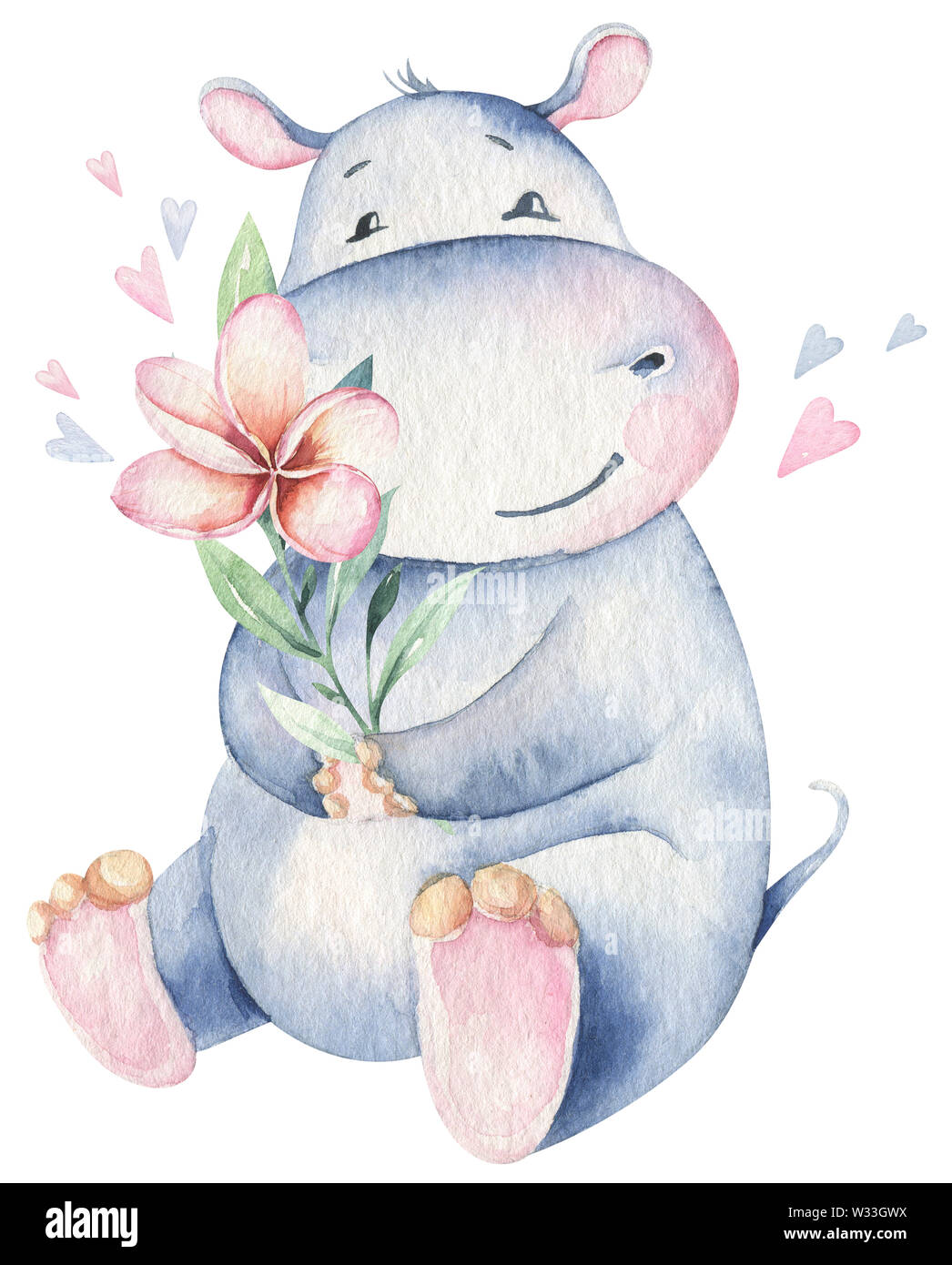 Hand drawn cute isolated tropical summer watercolor hippo animals ...