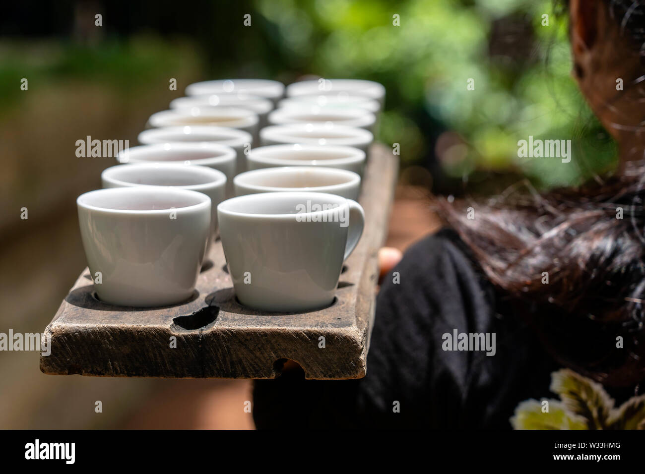 Balinese girl waiter carries a variety of coffee and tea for tourists ...