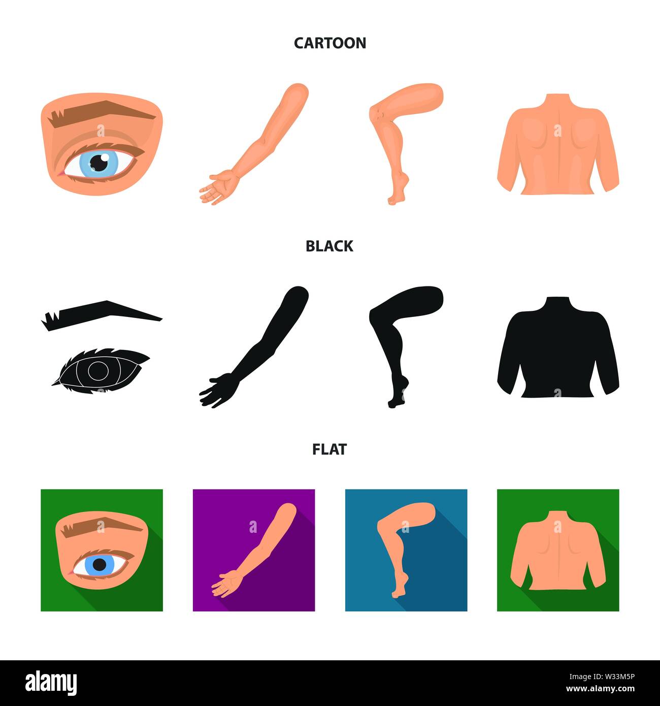Isolated object of body and part symbol. Set of body and anatomy stock ...