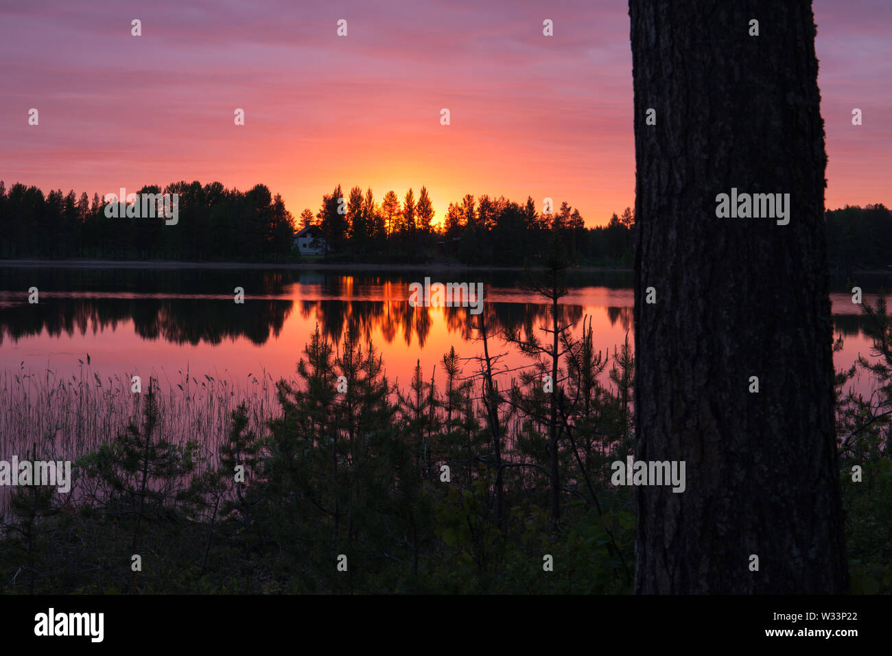 Nightfall, sunset by a lake. Reed this side, colorful Stock Photo - Alamy