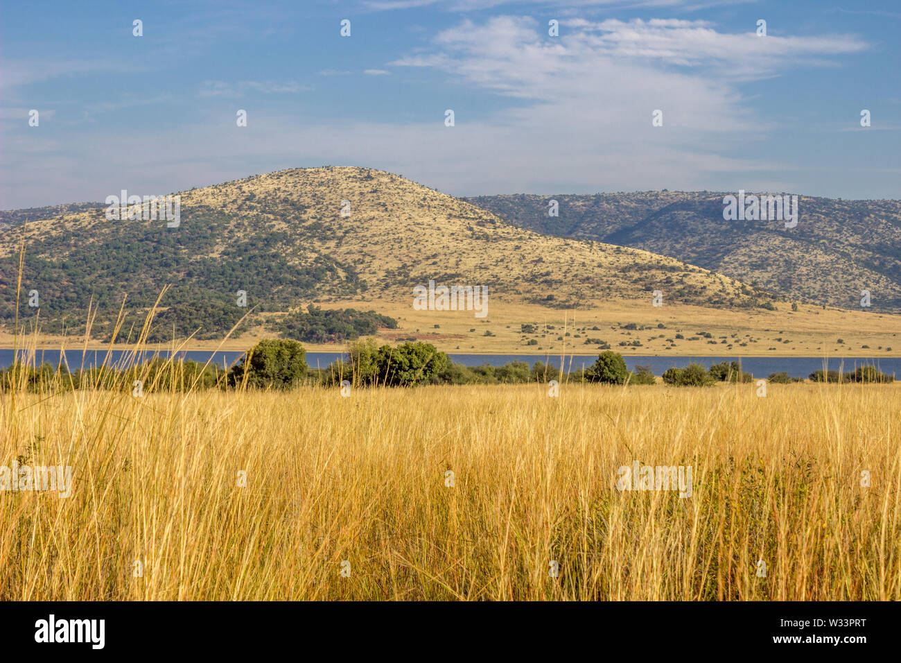 Pilanesberg national park hi-res stock photography and images - Alamy
