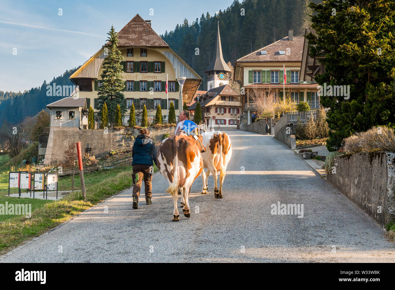 village of Trub in EmmentalViehschau in Trub, Emmental Stock Photo - Alamy